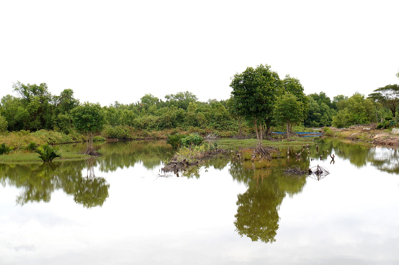 Chemtech International - Sustainable Solutions for Manufacturing